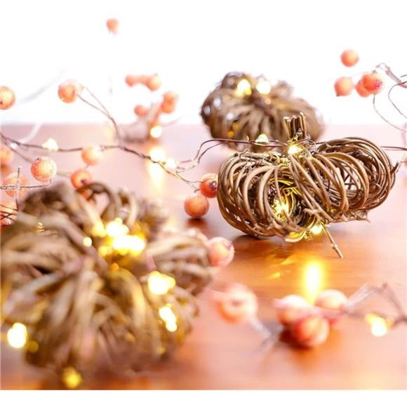 Holiday | Halloween Decor Rattan Pumpkin Berry String Lights 1ft 30leds ...